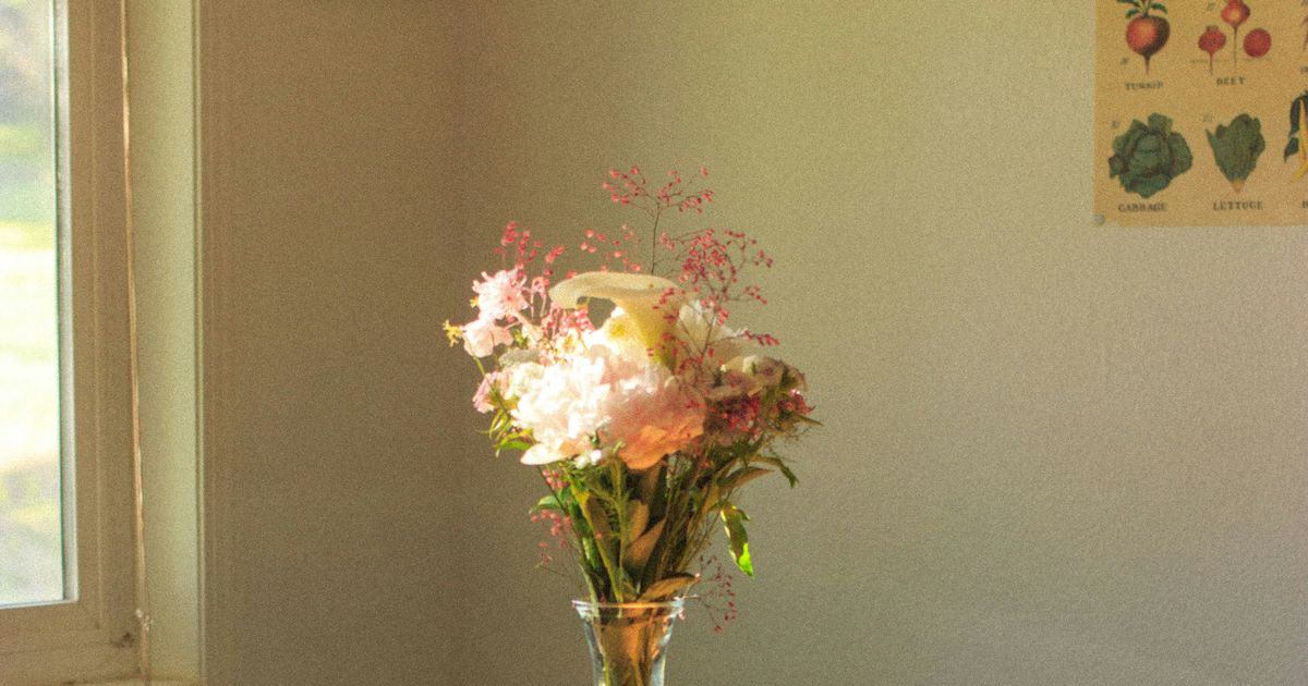 Elizabeth Ogoneks All These Lighted Things “Een gebalde brok ...