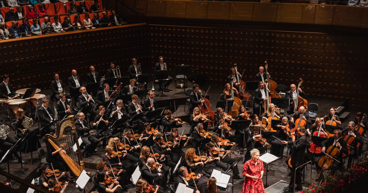 Soutenez-nous | Antwerp Symphony Orchestra